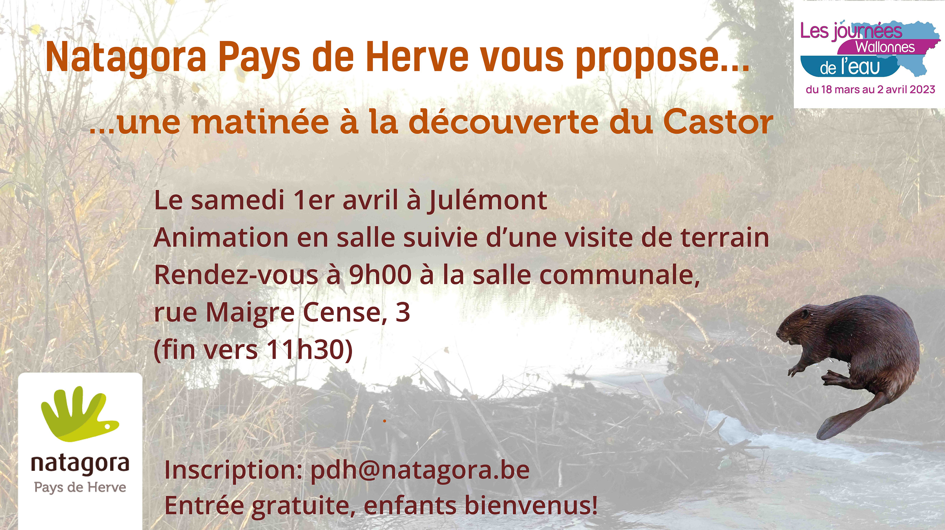 À la découverte du castor en Val de Berwinne | Natagora